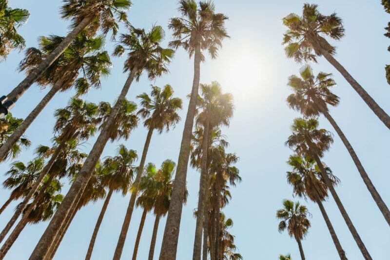 Dubrovnik: Elaphite Island Cruise w/ Drinks & Optional Lunch - Who Is This Tour Best For?