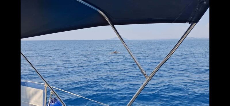 Dubrovnik : Full Day Group Boat Tour to Elaphiti & Blue Cave - Final Thoughts: Who Will Love This Tour?