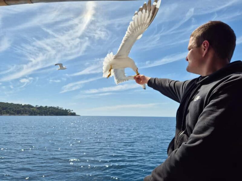 Dubrovnik: Island Boat Tour with Drinks & Lunch - Lopud Island: The First Stop (Approx. 3 hours)