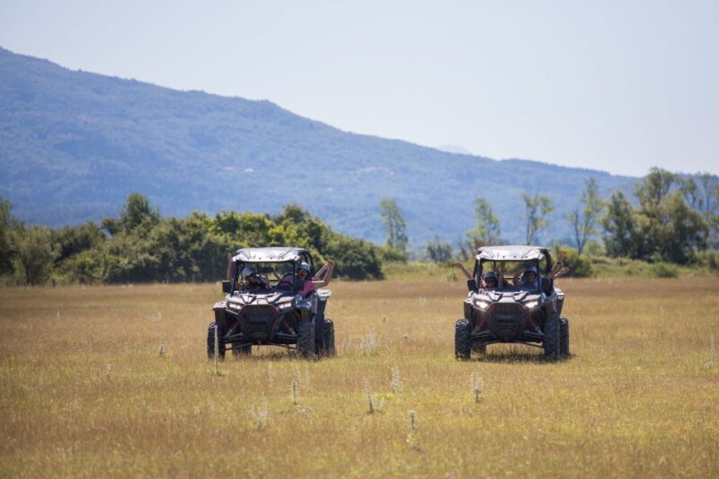 Dubrovnik: Kojan Koral Buggy Safari with Transportation - Where Does the Value Lie?