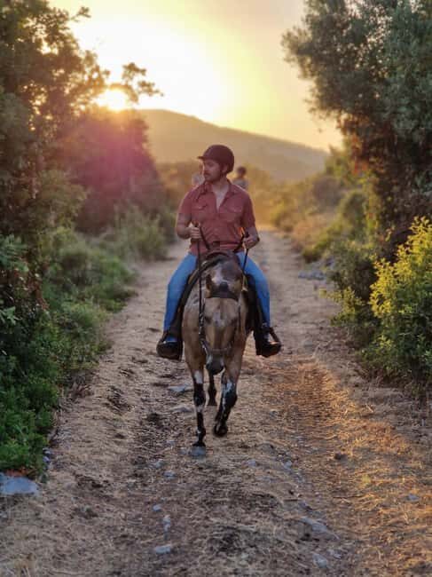 Dubrovnik Kojan Koral: Horseback Riding - Exploring Dubrovnik Kojan Koral: Horseback Riding – An Authentic Croatian Adventure