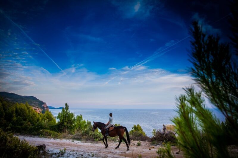 Dubrovnik Kojan Koral: Horseback Riding - Key Points