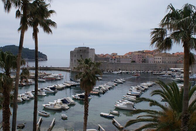 Dubrovnik Old City Private Tour - Who should book this tour?