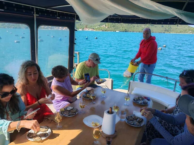 Dubrovnik: Oyster, Mussles, and Wine Tasting Tour in Ston - Scenic Drive and Final Highlights