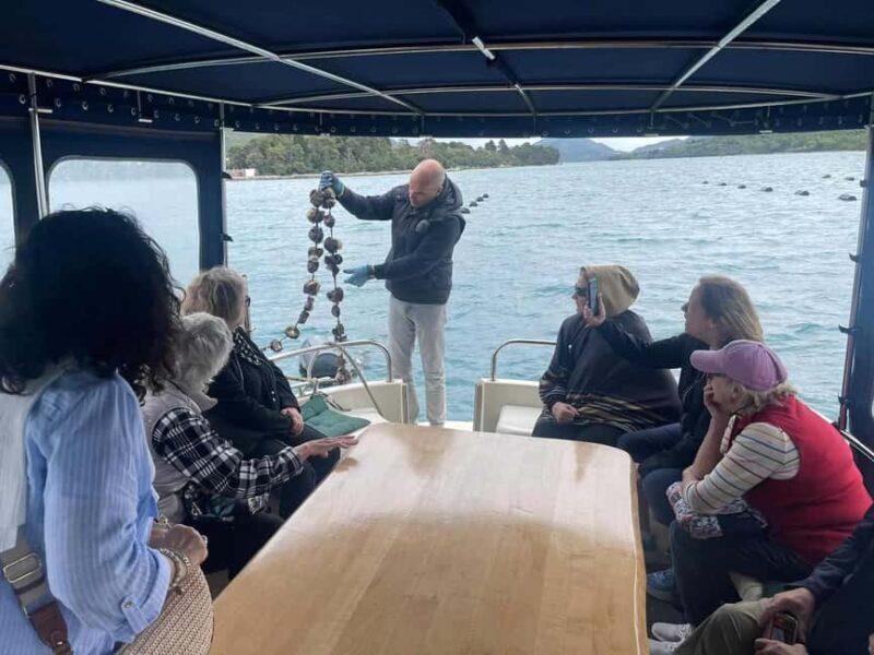 Dubrovnik: Oyster, Mussles, and Wine Tasting Tour in Ston - The Sum Up