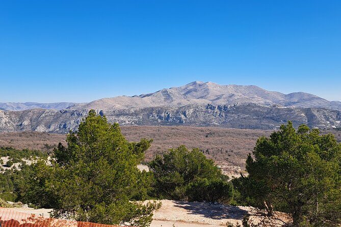 Dubrovnik Panorama Tour - Who Should Consider This Tour?