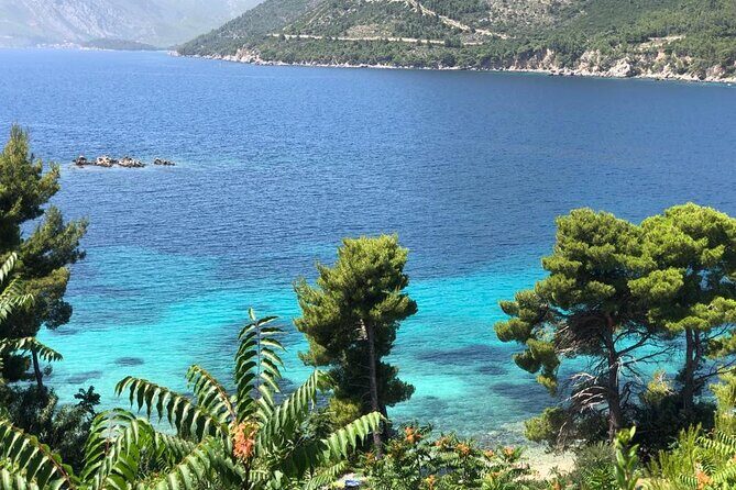 Dubrovnik Private Wine Tasting Tour to Peljesac Peninsula - The Itinerary in Detail