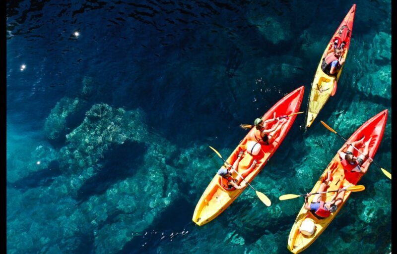 Dubrovnik: Sea Kayaking Tour - Key Points