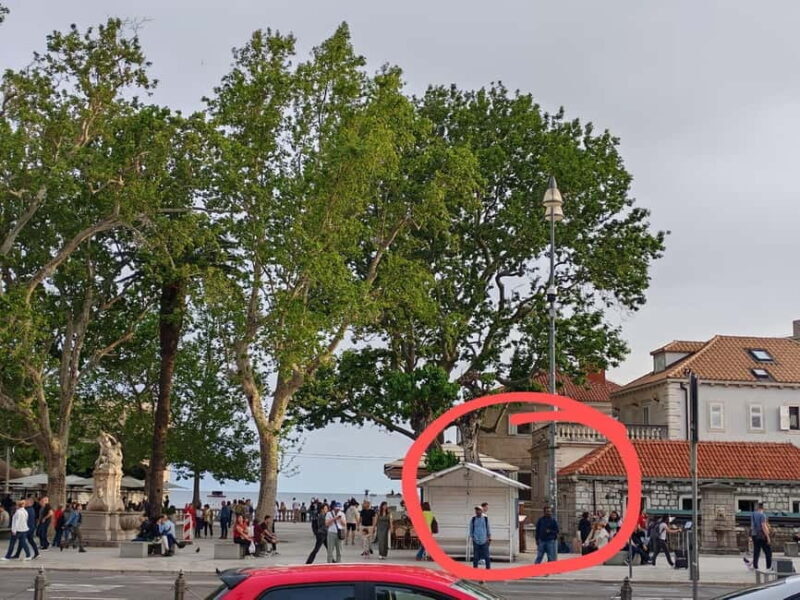 Dubrovnik: Sea Kayaking&Snorkelling Guided Day/Sunset Tours - Final Thoughts: Who Will Love This Experience?