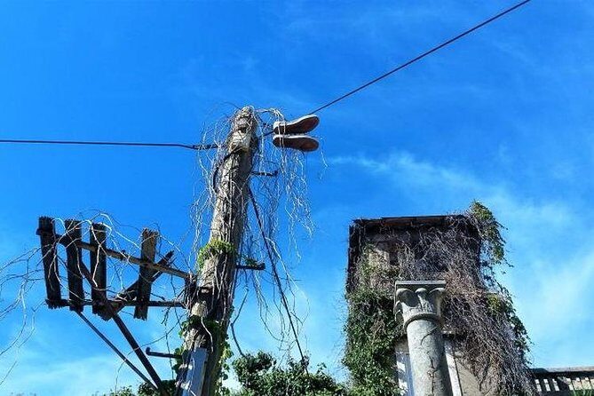 Dubrovnik Shore Excursion: Old Town Walking Tour - Is This Tour Right for You?