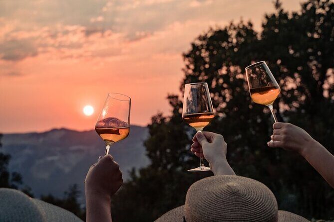 Dubrovnik Walk & Wine: Old Town Walking tour with a Glass of Wine - Introduction