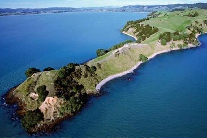 Duder Regional Park Half-Day Walking Tour - Who Should Consider This Tour?