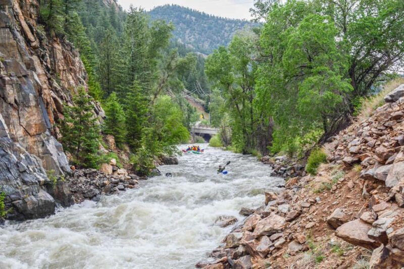 Dumont: Whitewater Rafting Experience near Denver - The Experience for Different Travelers