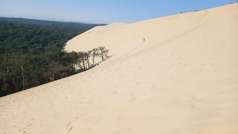 Dune du Pilat, Oysters Tasting and Arcachon! What else ? - Key Points