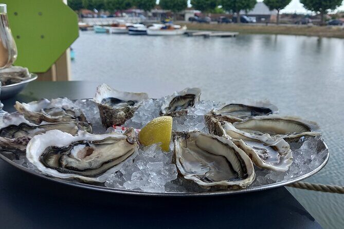 Dune of Pilat, Oysters and Arcachon ! What else? - The Practicalities