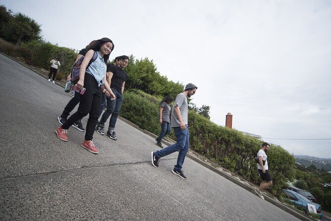 Dunedin 4 Hrs halfday Private Tour - Who Should Consider This Tour?