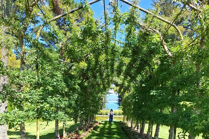 Dunedin and Otago Peninsula Private Tours Up to 4 people - Introduction: Why This Tour Might Be Just Right for You