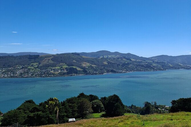 Dunedin and Otago Peninsula Private Tours Up to 4 people - Who Is This Tour Best For?