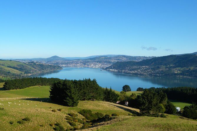 Dunedin City and Coastal Views 3-Hour Small-Group Guided Tour - The Octagon: Heart of Dunedin