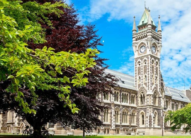 Dunedin City & Coastal Views 3-Hour Small-Group Tour - Why This Tour Stands Out