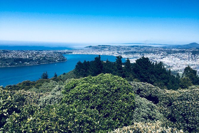 Dunedin City Highlights, Otago Peninsula Scenery & Albatross Guided Tour - Final Thoughts