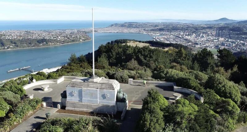 Dunedin City & Otago Peninsula Scenery Day Tour - A Deep Dive into the Dunedin City & Otago Peninsula Tour