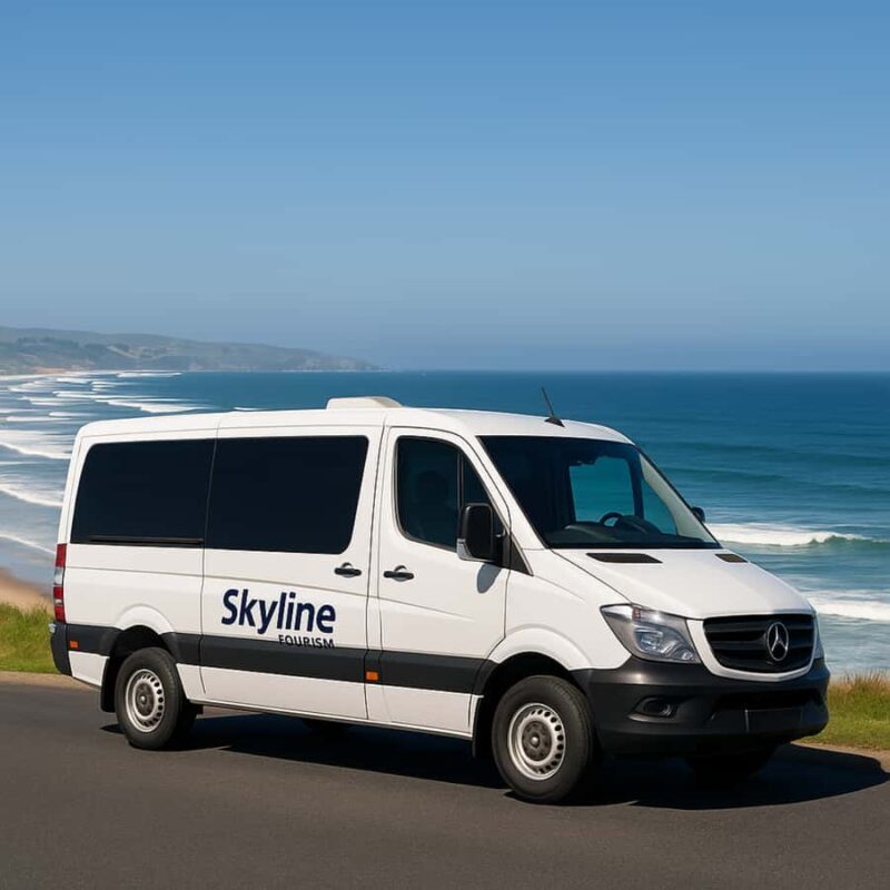 Dunedin City & Otago Peninsula Scenery Day Tour - What Makes This Tour Stand Out?