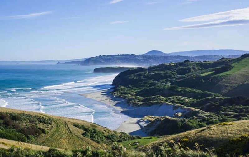 Dunedin City & Otago Peninsula Scenery Day Tour - The Ideal Traveler for This Tour