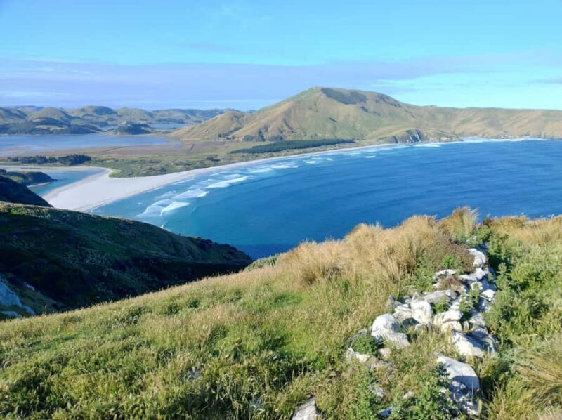 Dunedin City & Otago Peninsula Scenery Day Tour - FAQ