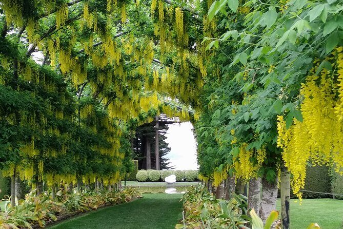 Dunedin City, Wildlife and Larnach Castle - Final Words