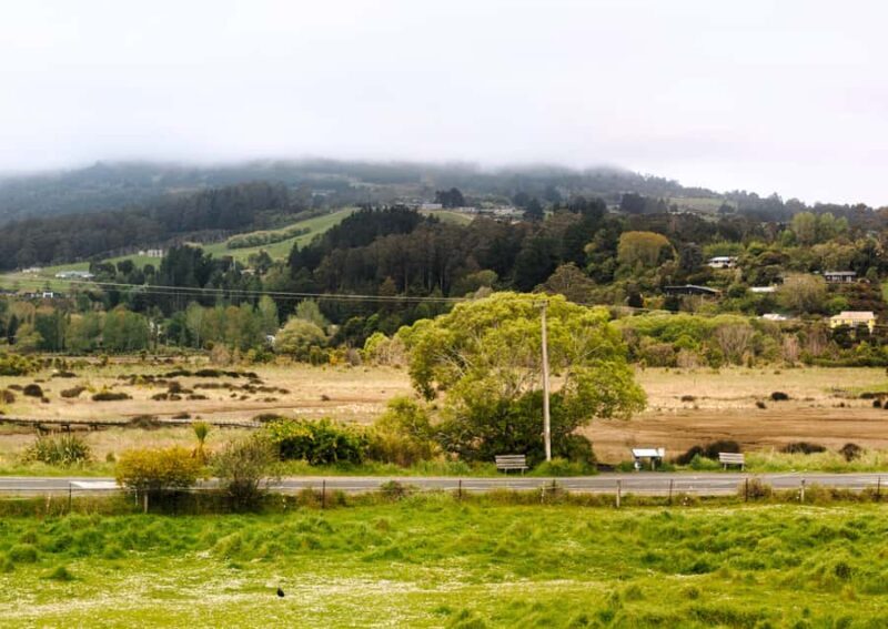 Dunedin Cruise Excursion: Express Coastline Rail Tour - Scenic Coastal Views and Top Highlights