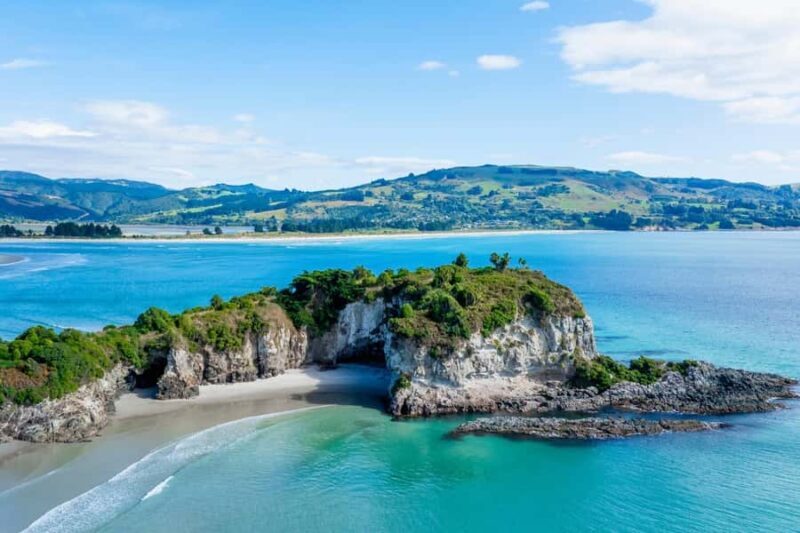 Dunedin Cruise Excursion: Express Coastline Rail Tour - Value and Cost Consideration