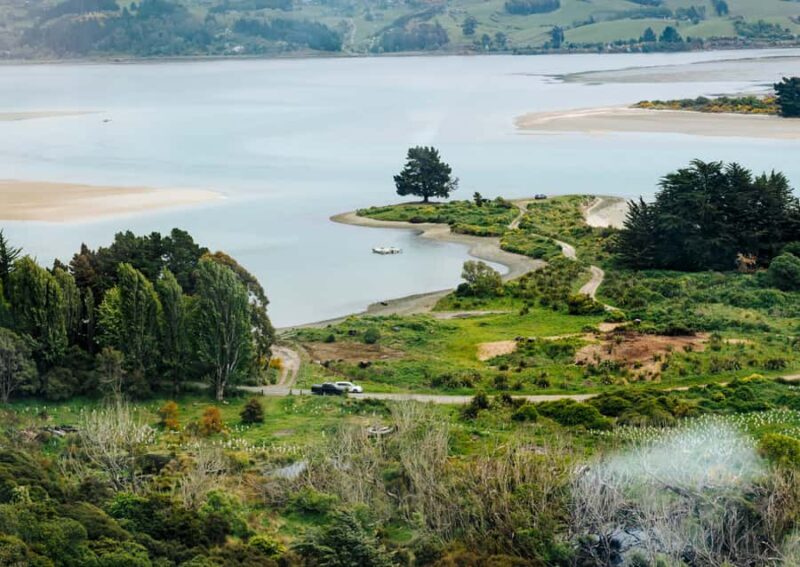 Dunedin Cruise Excursion: Express Coastline Rail Tour - Practical Tips for Travelers