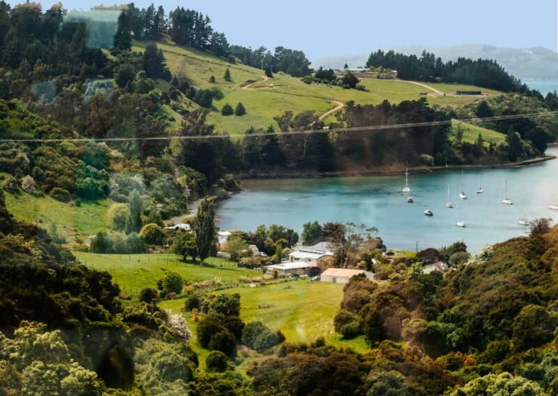 Dunedin Cruise Excursion: Express Coastline Rail Tour - The Sum Up