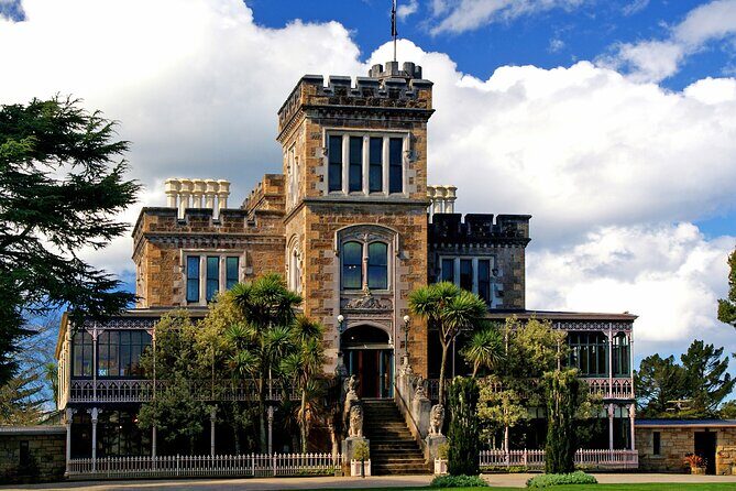 Dunedin Nature and City Tour with Larnach Castle included - Who is this tour perfect for? 