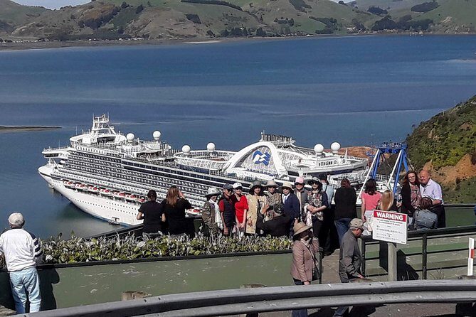 Dunedin Nature & City Tour  Full Day Cruise Excursion - Key Points