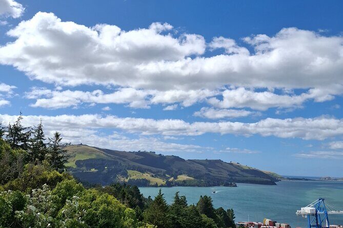 Dunedin & North Otago Scenic & Wildlife Tour - Key Points