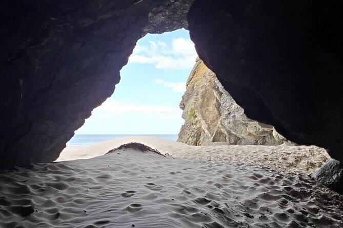 Dunedin & North Otago Scenic & Wildlife Tour - Final Thoughts: Is This Tour Worth It?