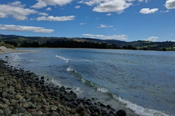 Dunedin & North Otago Scenic & Wildlife Tour - FAQs