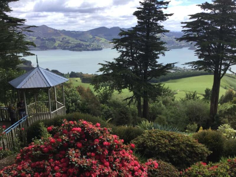 Dunedin: Peninsula with Lanarch Castle gardens & Olveston - Who Should Consider This Tour?