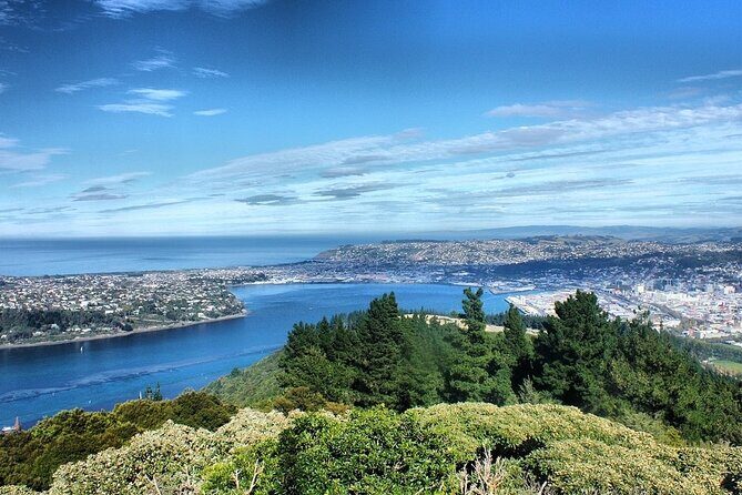 Dunedin Private Fullday Tour - Final Thoughts