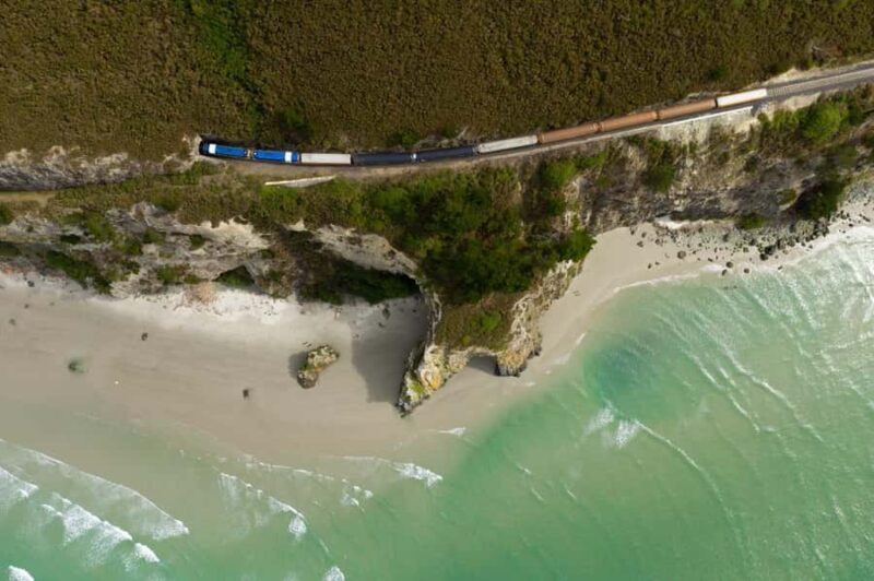 Dunedin: Scenic Railway Tour of Otago's Coastline - An In-depth Look at the Dunedin Scenic Railway Tour