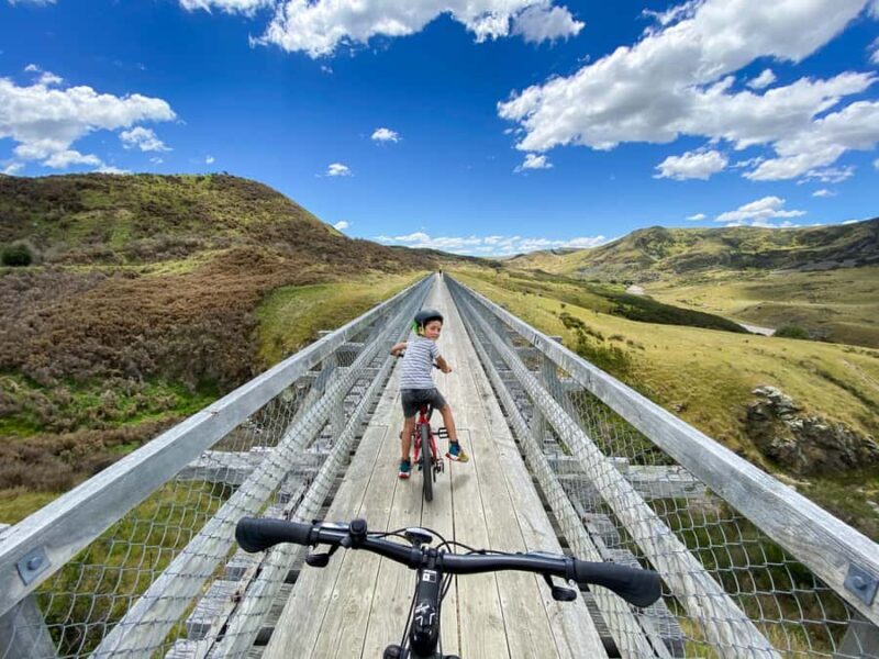 Dunedin: Scenic Railway Tour Through the Taieri Gorge - Key Points