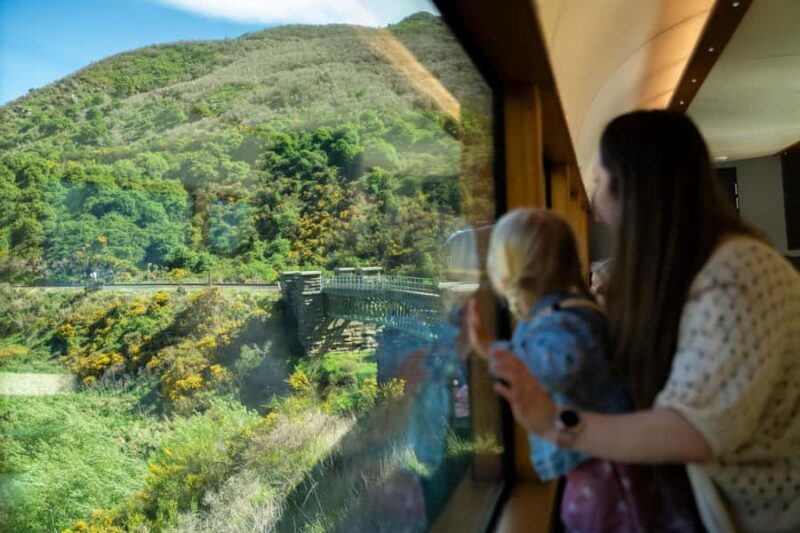 Dunedin: Scenic Railway Tour Through the Taieri Gorge - What Travelers Say