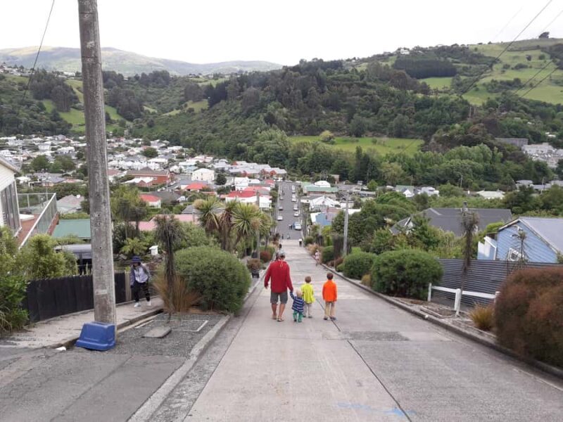 Dunedin: Small Group City Highlights Tour - What to Expect During the Tour