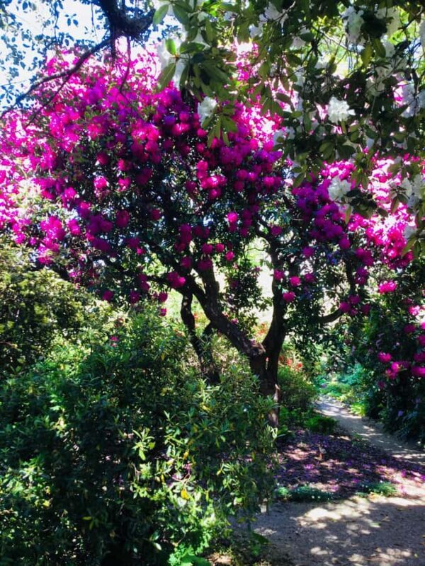 Dunedin: Small Group City Highlights Tour - Final Thoughts