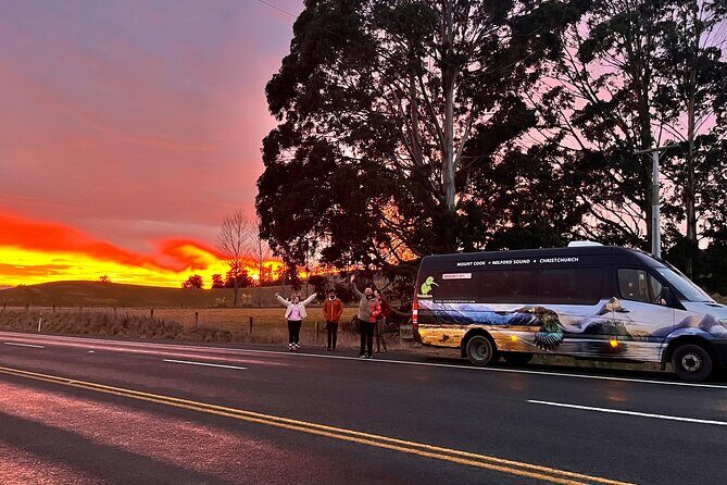 Dunedin to Invercargill via the Catlins 1 Way Small Group Tour - What Makes This Tour Stand Out?