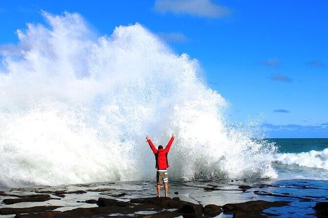 Dunedin to Te Anau via the Catlins One Way Small Group Tour - Exploring the Dunedin to Te Anau via the Catlins Tour: An Honest Review