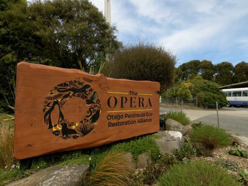 Dunedin: Wildlife and Penguin Tour - The bottom line: Who is this tour best for?