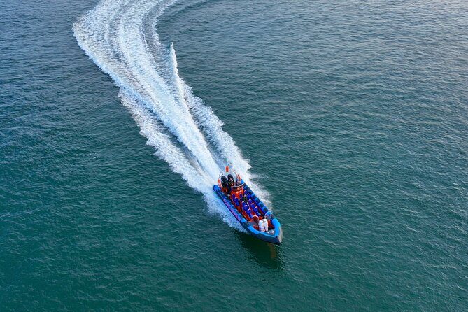 Dunmore East Sea Safari to Hook Lighthouse - Itinerary Breakdown: What You’ll See and Do